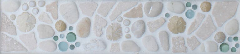 Seafoam - Sand Dollars Border | Wet Dog Tile Co