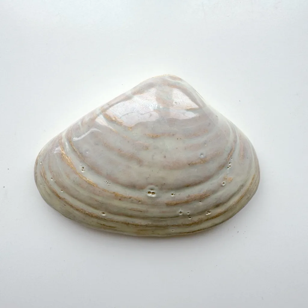 Large Quahog Shell - 5" Glazed Ceramic Tile | Wet Dog Tile Co